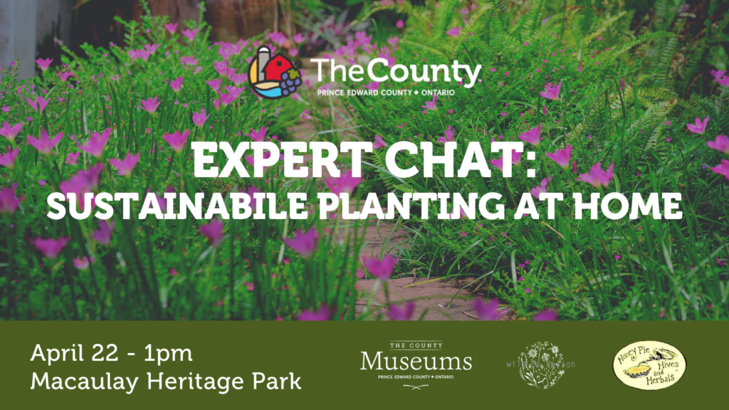 Expert Chat: Sustainable Planting at Home - Prince Edward County ...